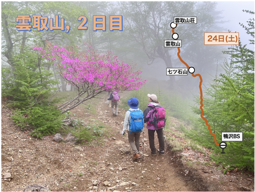 雲取山 ＜B山行＞ 5月23日 (金), 24日 (土) – TTC 東京トレッキングクラブ